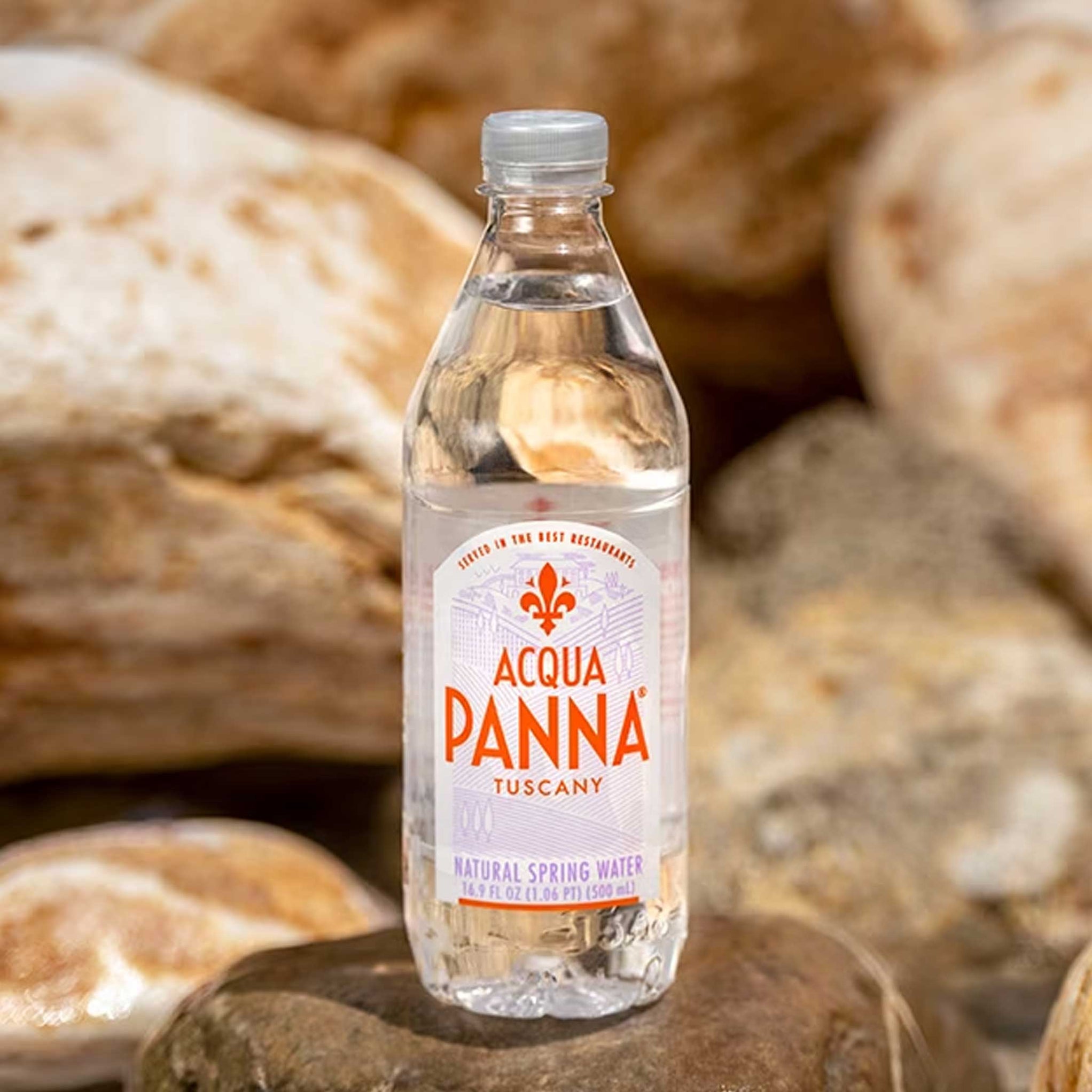 Agua Panna PET 500 ml / 24 unidades — Food Service 502